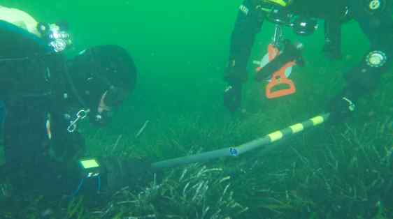 NextGen Legacy Project | GUE